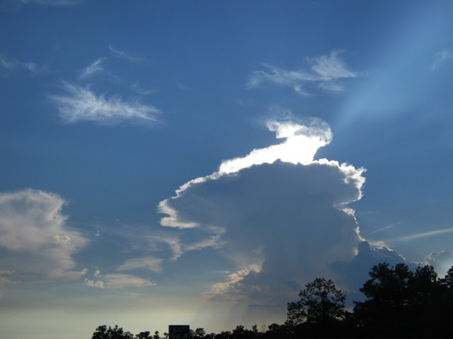 Is God Holding Out On You? Debbie Slaughter – SETX Christian Women’s ...